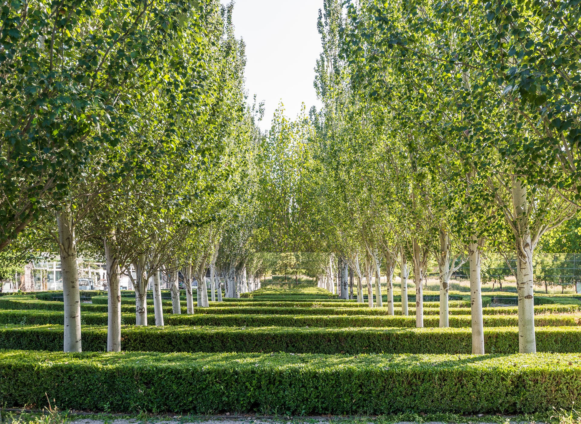 Finite/Infinite Garden | Ballistic Architecture Machine