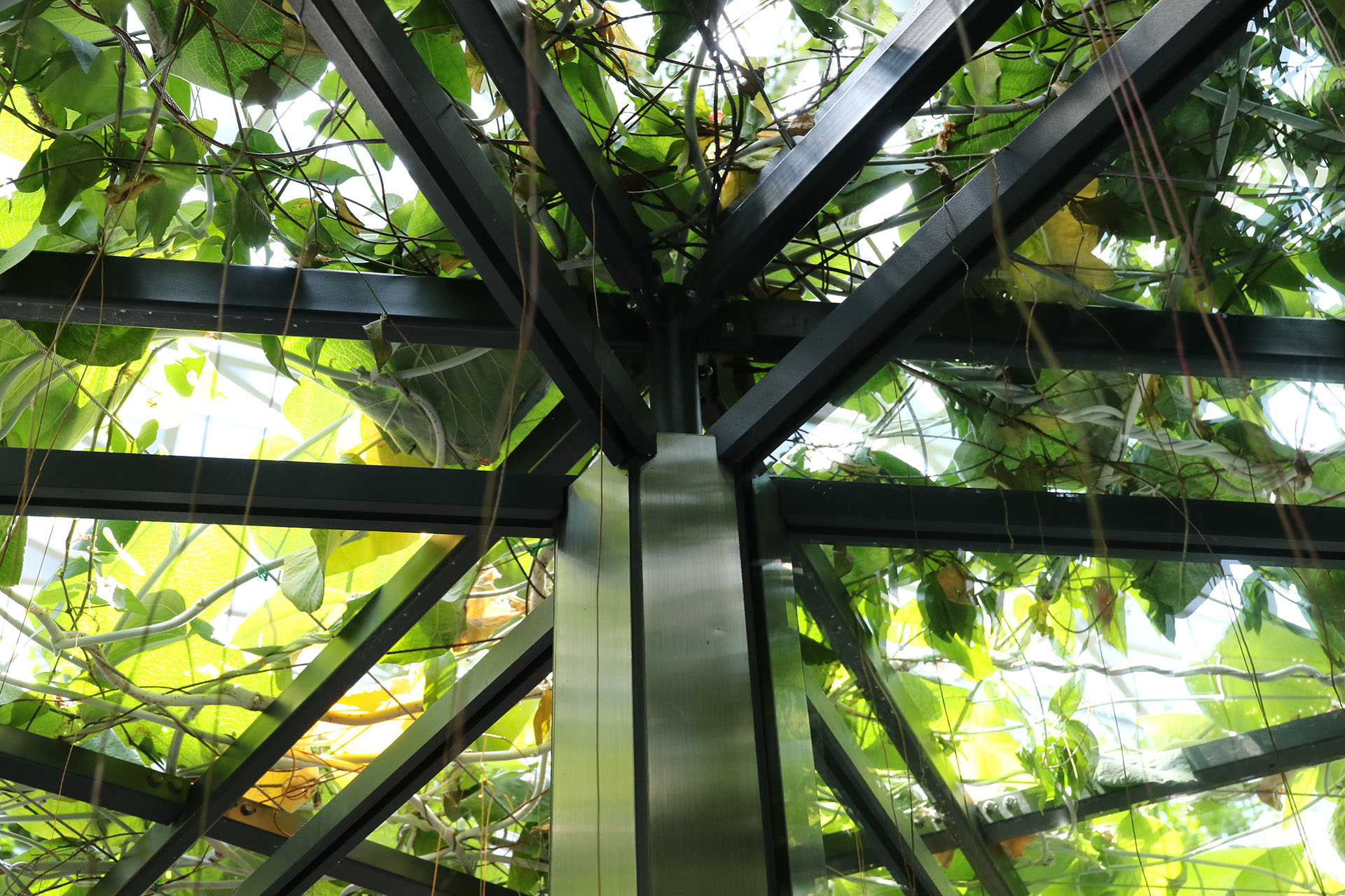 Mirror Maze, The Jewel | Ballistic Architecture Machine