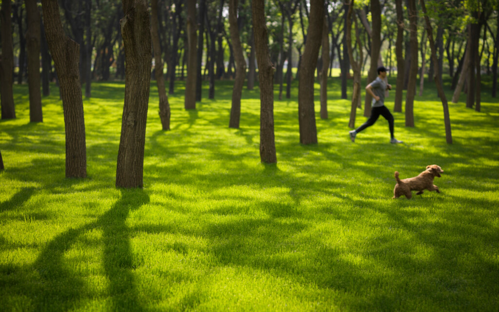 Beijing MAHA Residential Park | Ballistic Architecture Machine