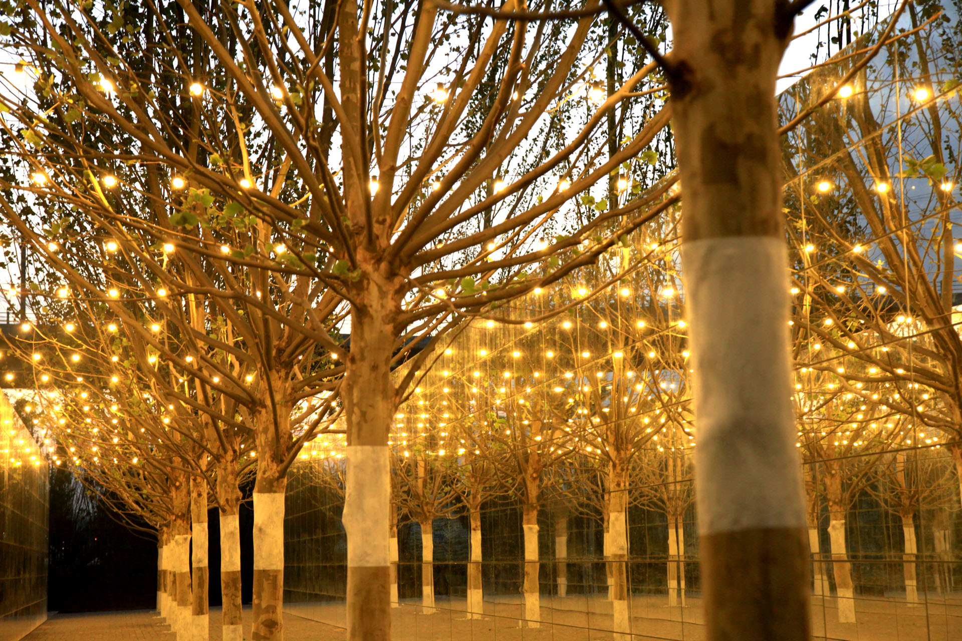 Finite/Infinite Garden | Ballistic Architecture Machine